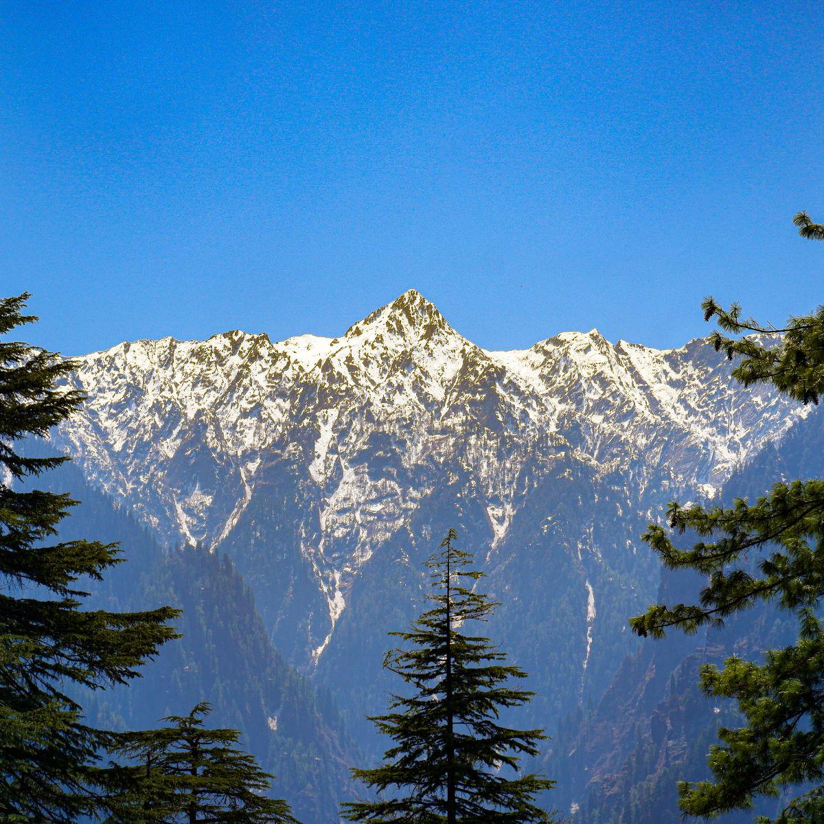 Kasol - Amigos India